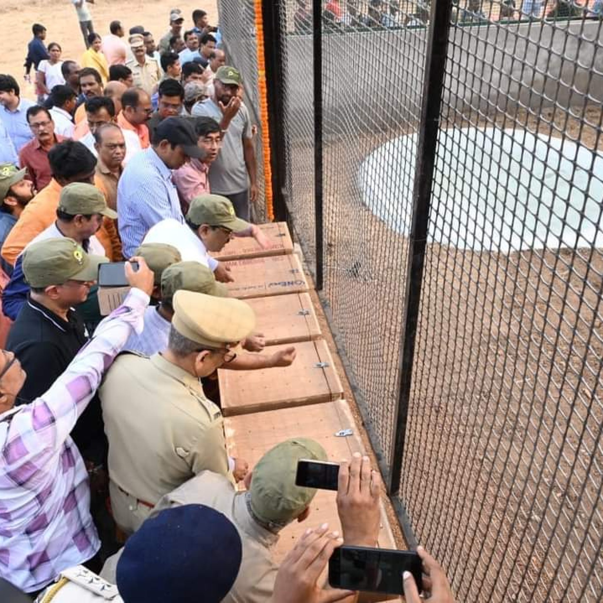 As Lord Ram Returns Home, Jatayu Gets New Abode In Tadoba - The Live Nagpur